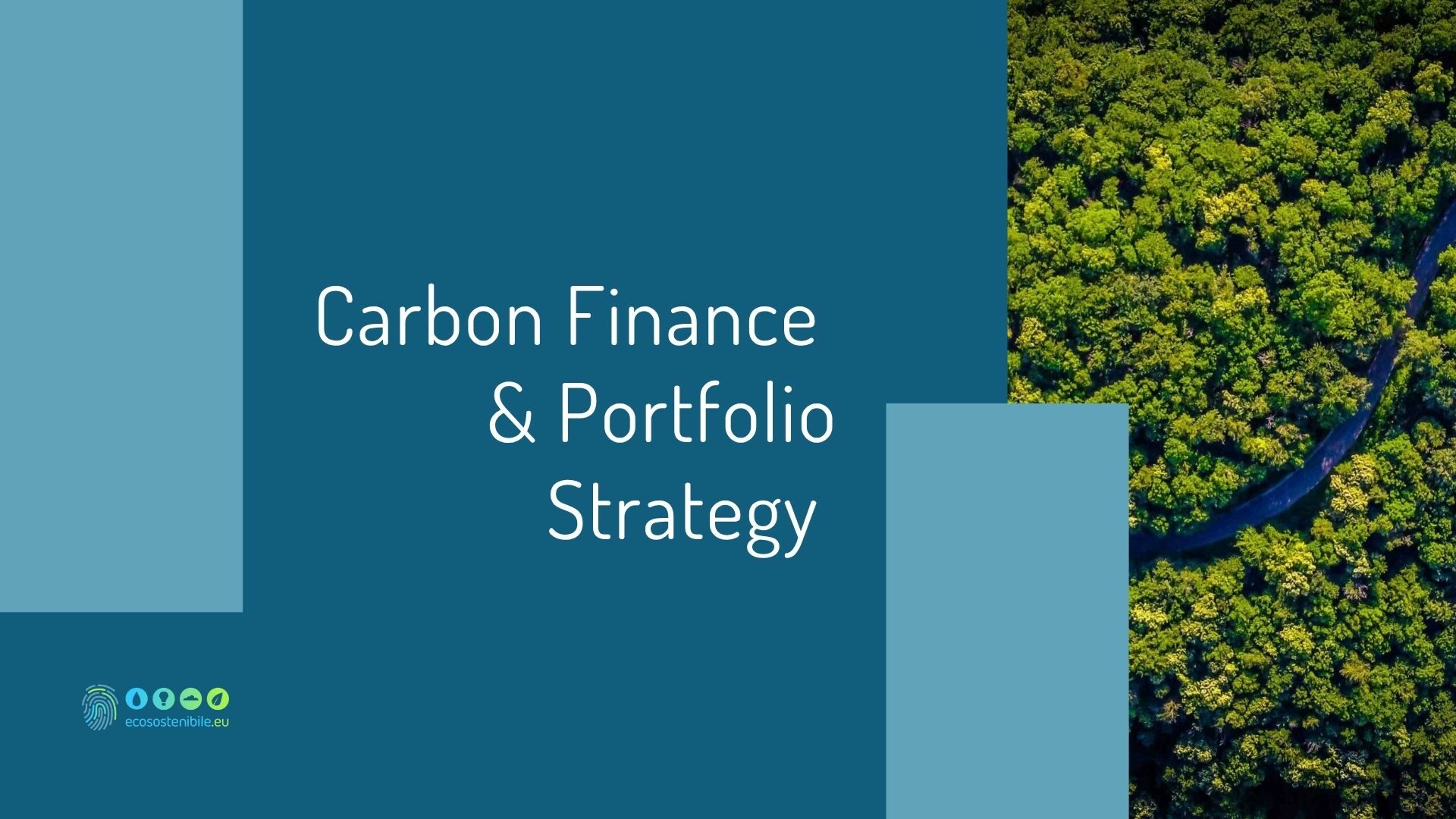 Carbon Finance & Portfolio Strategy - ecosostenibile.eu