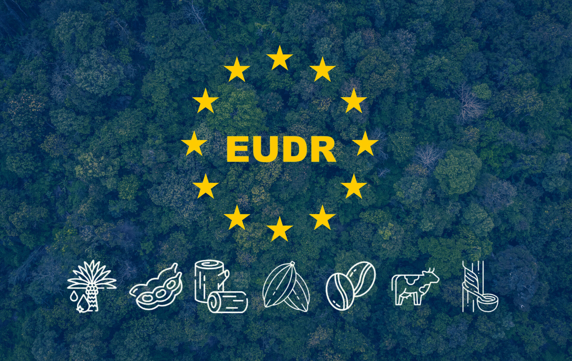 EUDR: l’entrata in vigore slitta di un anno per problemi IT - ecosostenibile.eu